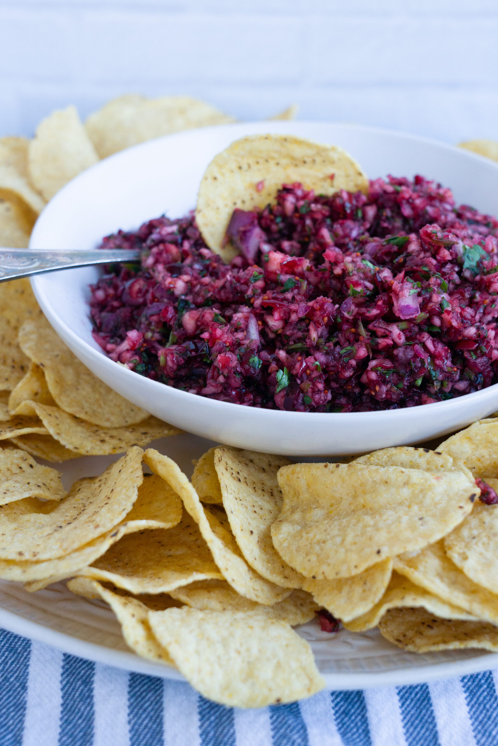 Candy Recent Cranberry Salsa | A Bountiful Kitchen - Street Food Spectacle