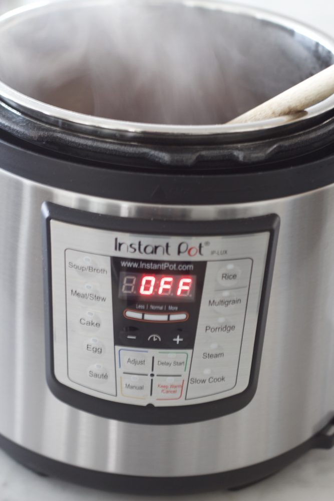 How to Use the Instant Pot or Instant Pot, Now What? | A Bountiful Kitchen
