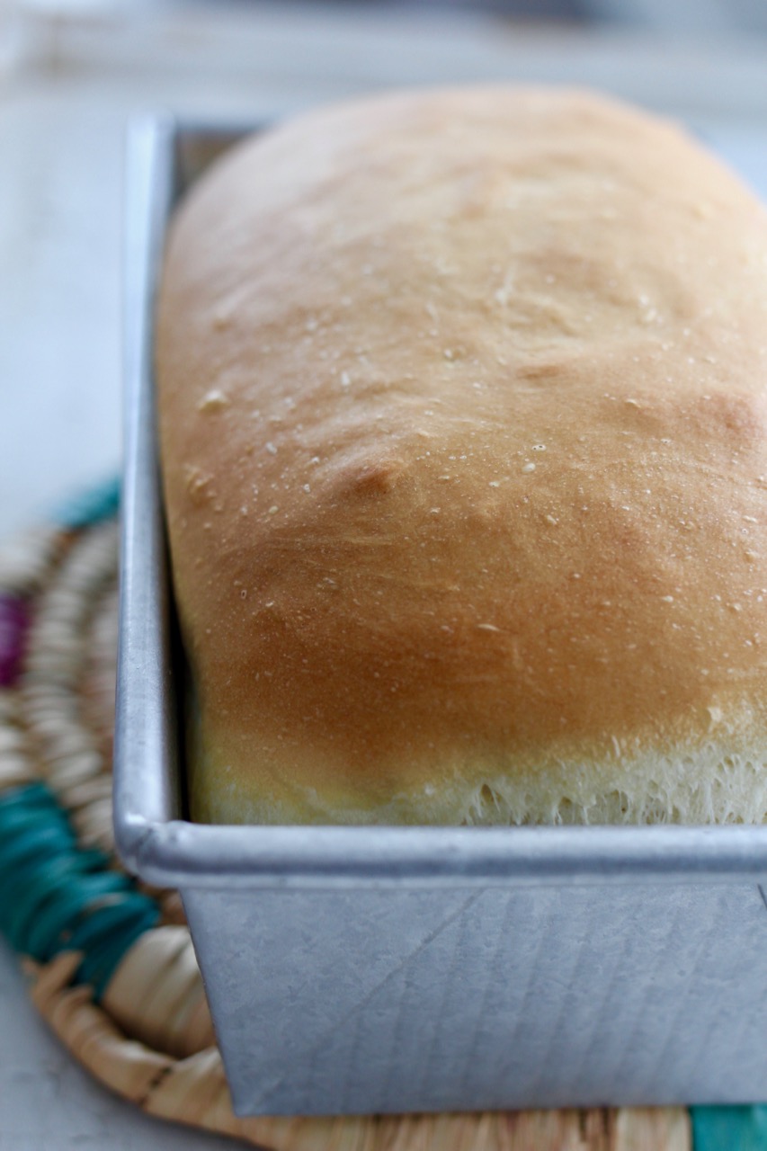 Classic White Bread Recipe | A Bountiful Kitchen