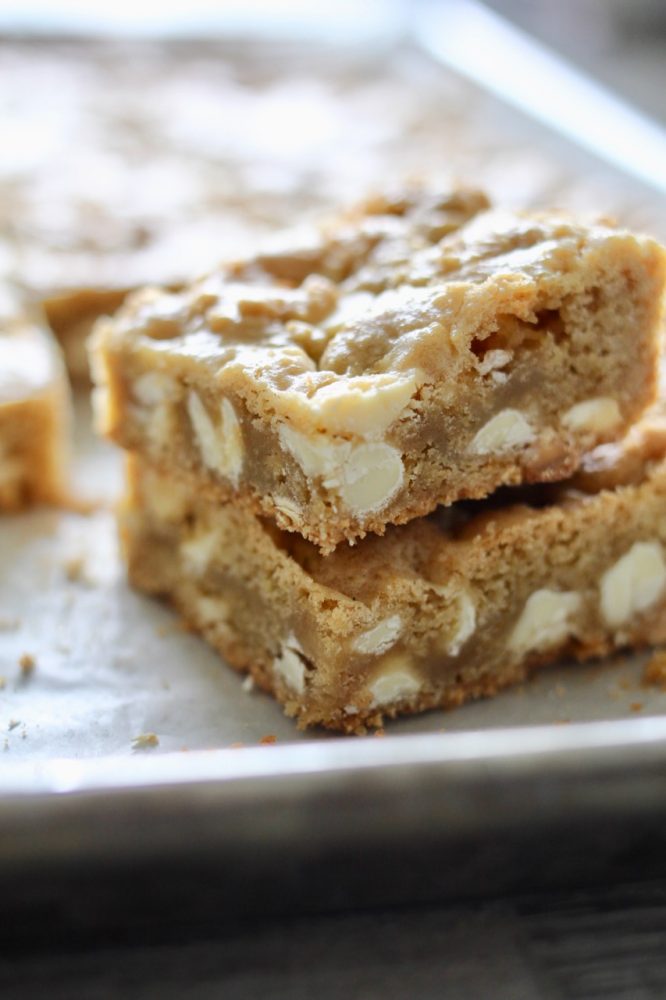 30 Minute Blondie Recipe | A Bountiful Kitchen