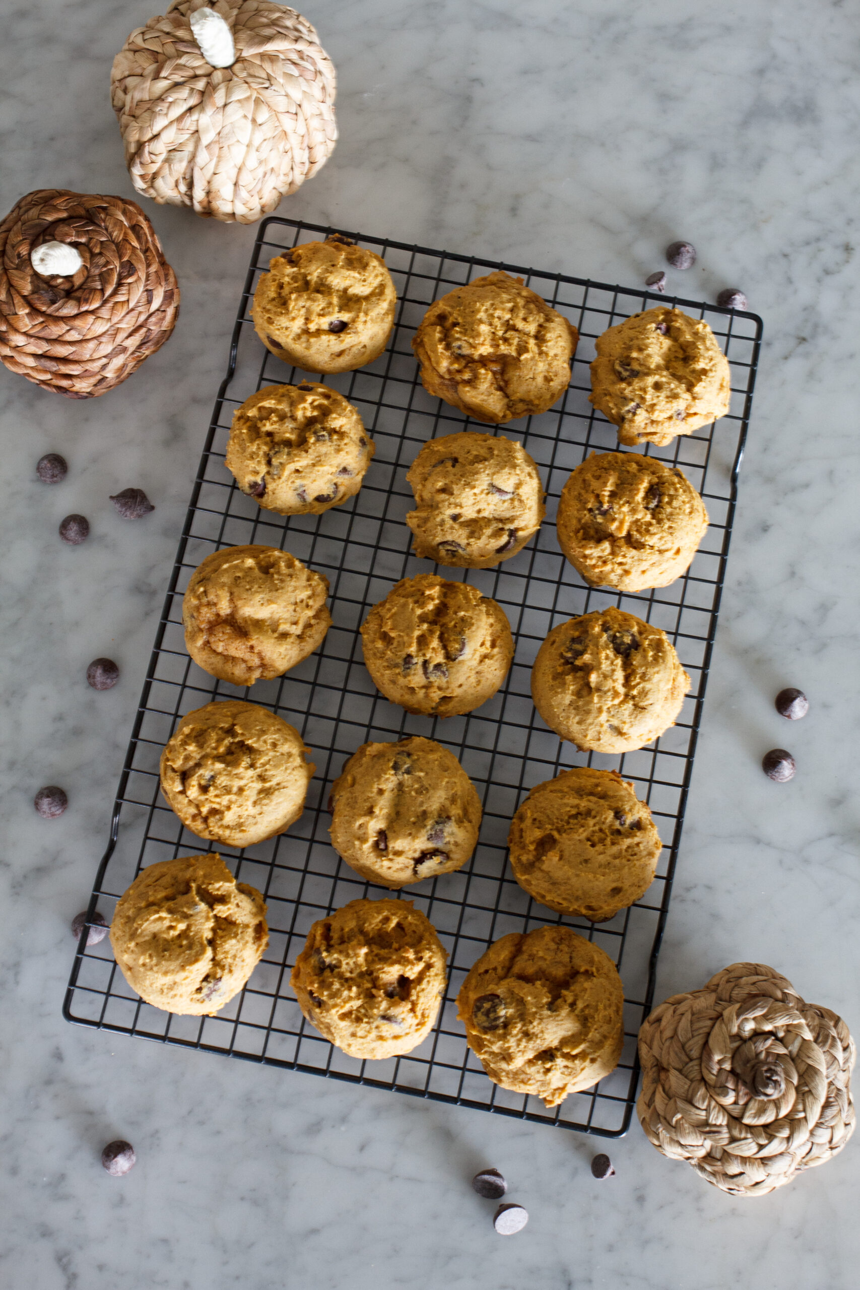 Cutler's Pumpkin Chocolate Chip Cookies | A Bountiful Kitchen