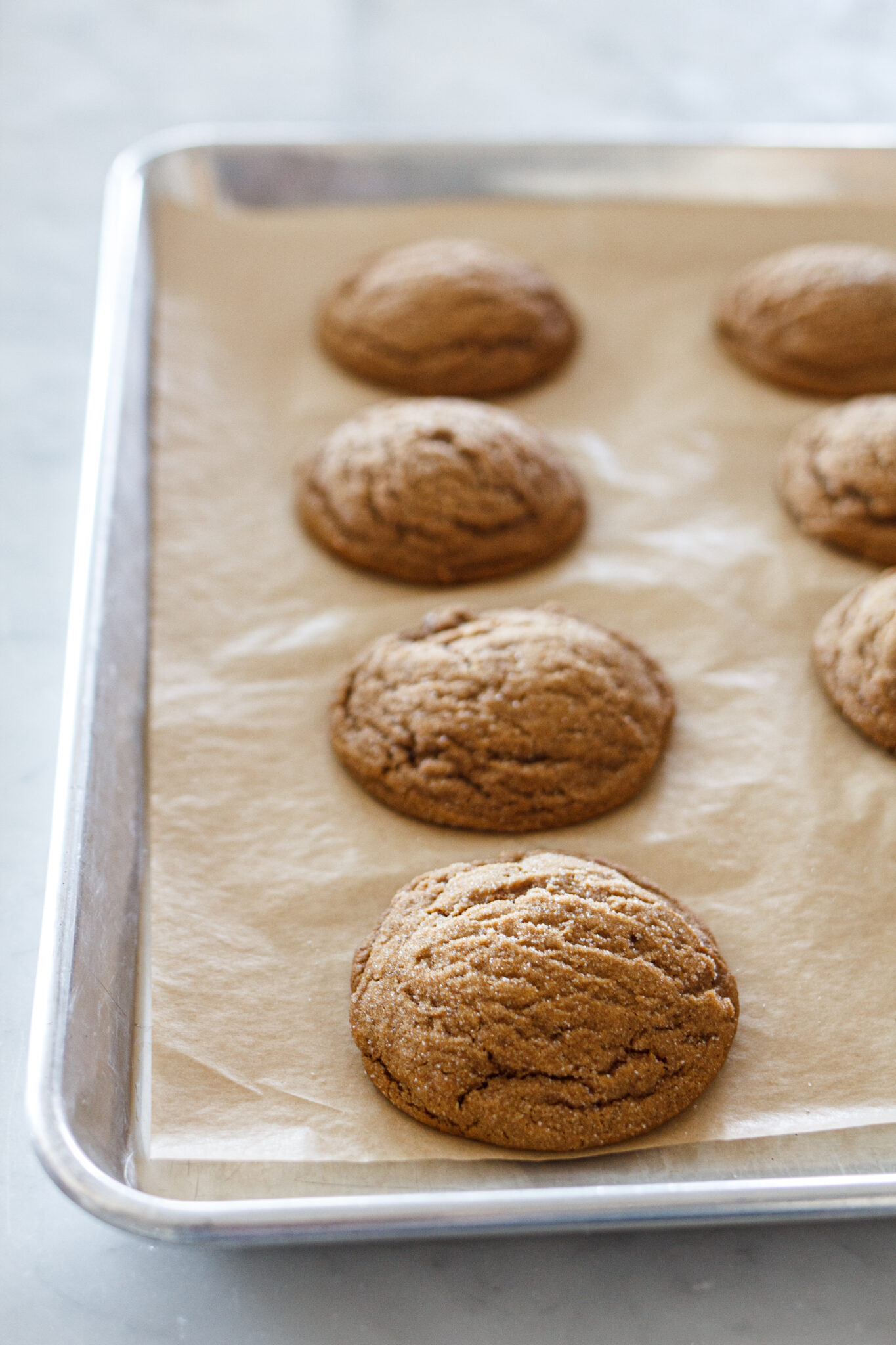Cutler's Gingerbread Cookies with Buttercream Frosting | A Bountiful ...